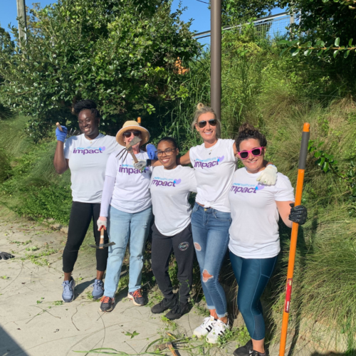 Pure Healthcare Impact - Pure Healthcare